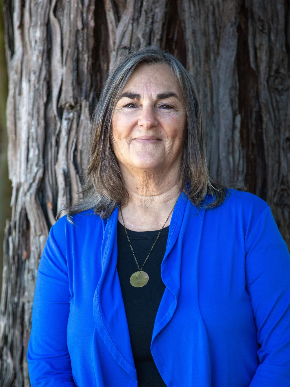 Bio - Lisa Lewis — The Center