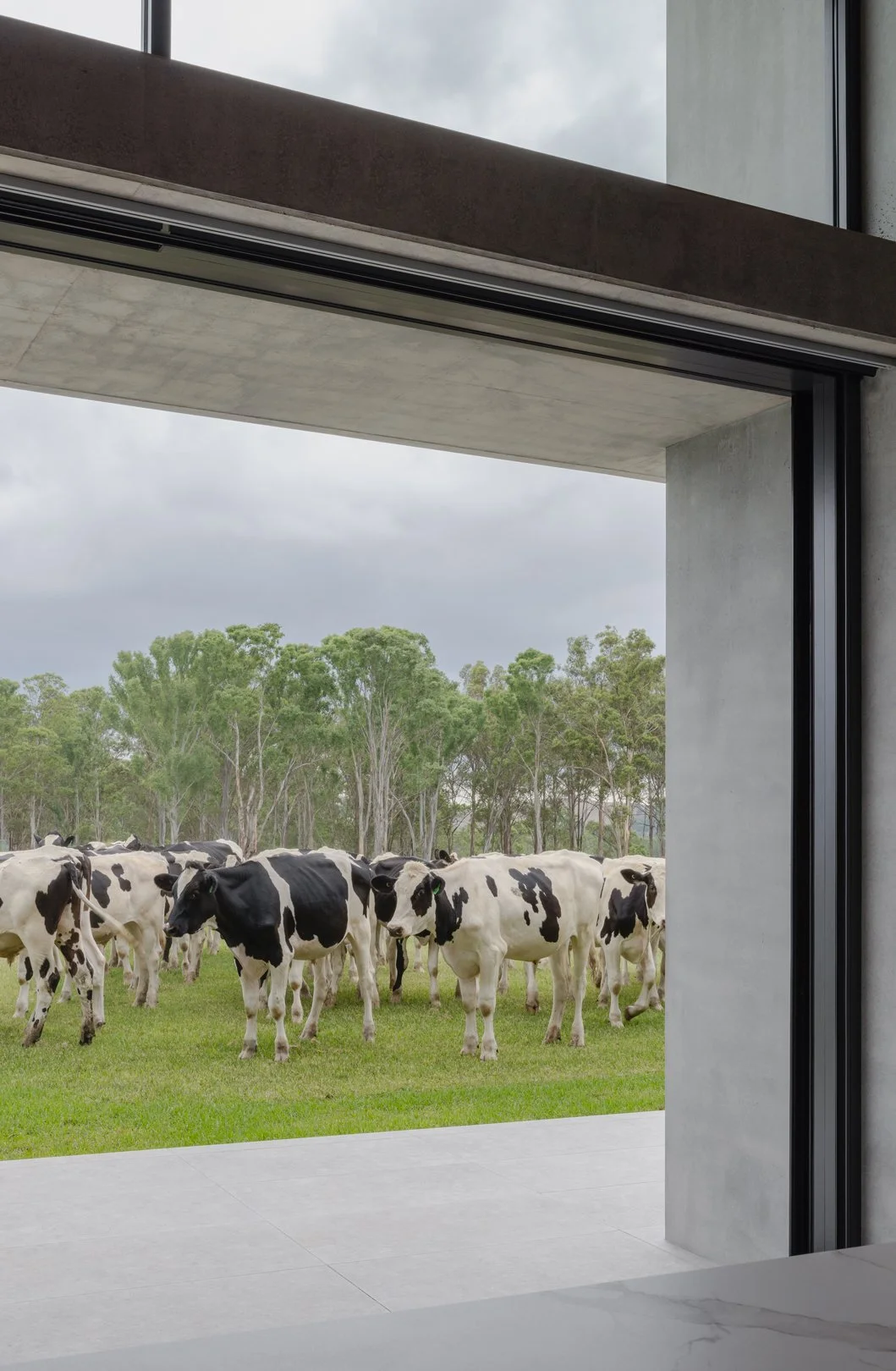 The Base — J Mammone Architecture