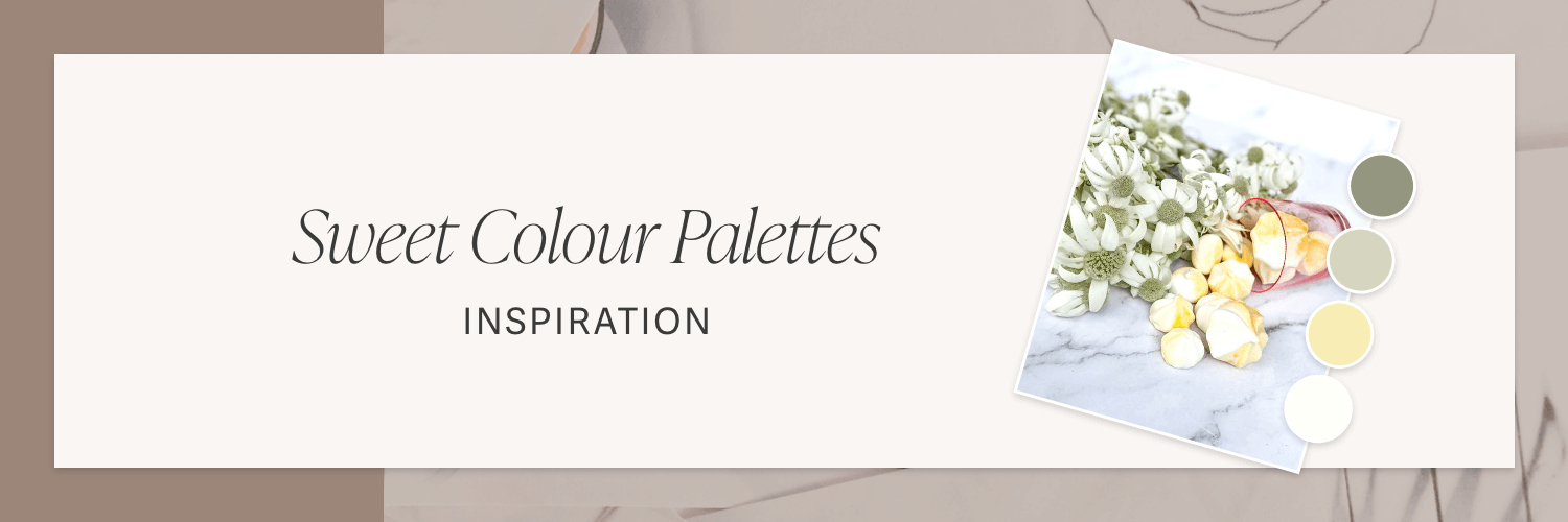 Sweet Colour Palette Ideas — Sophie Wuthrich | Polished Squarespace ...