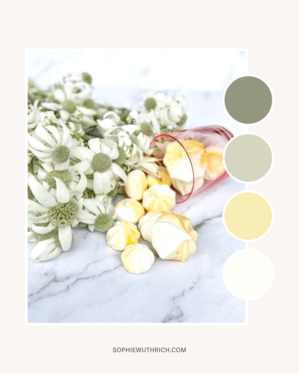 Sweet Colour Palette Ideas — Sophie Wuthrich | Polished Squarespace ...