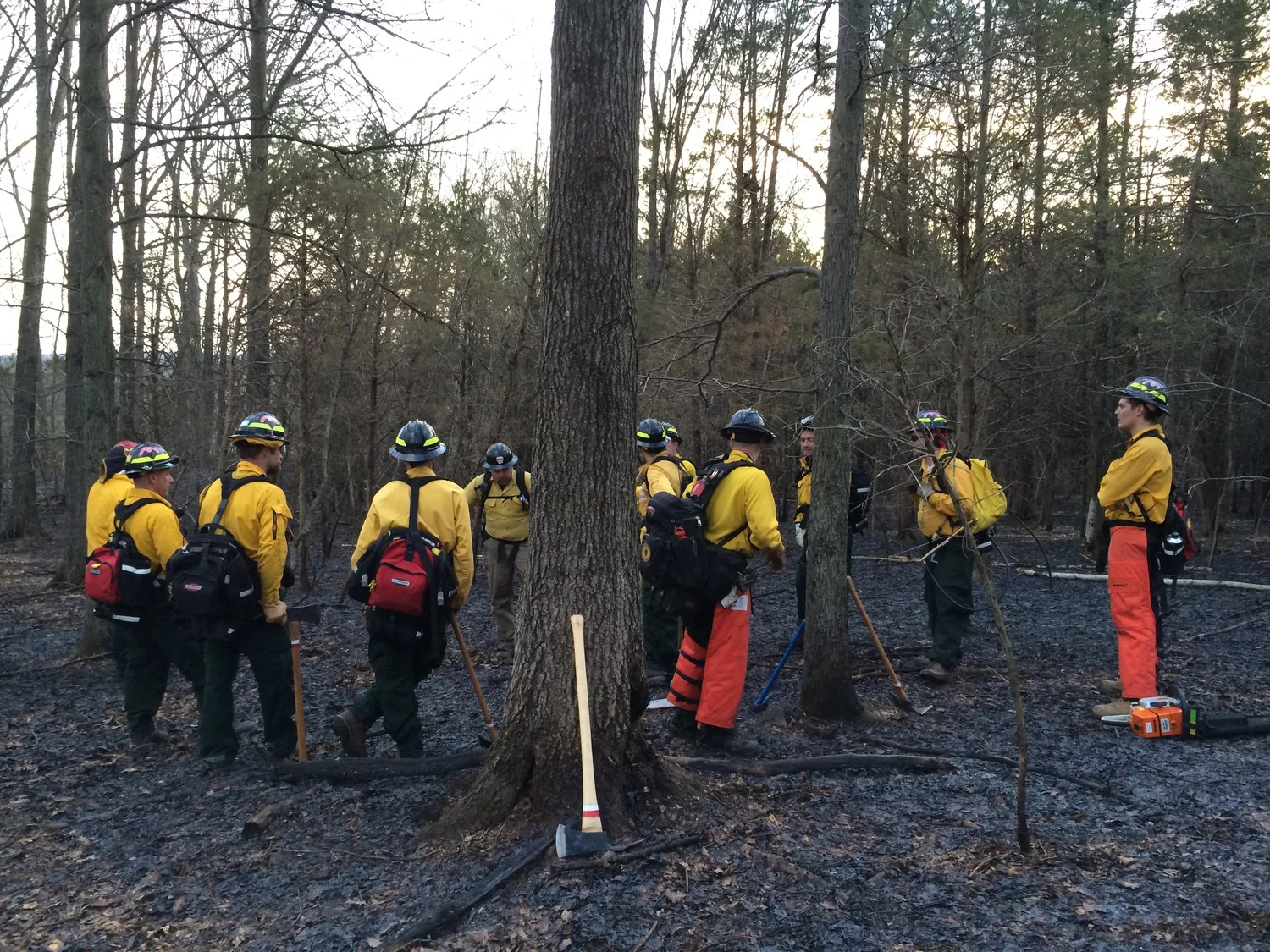 The Crew — Northern Bucks Wildland Fire Crew