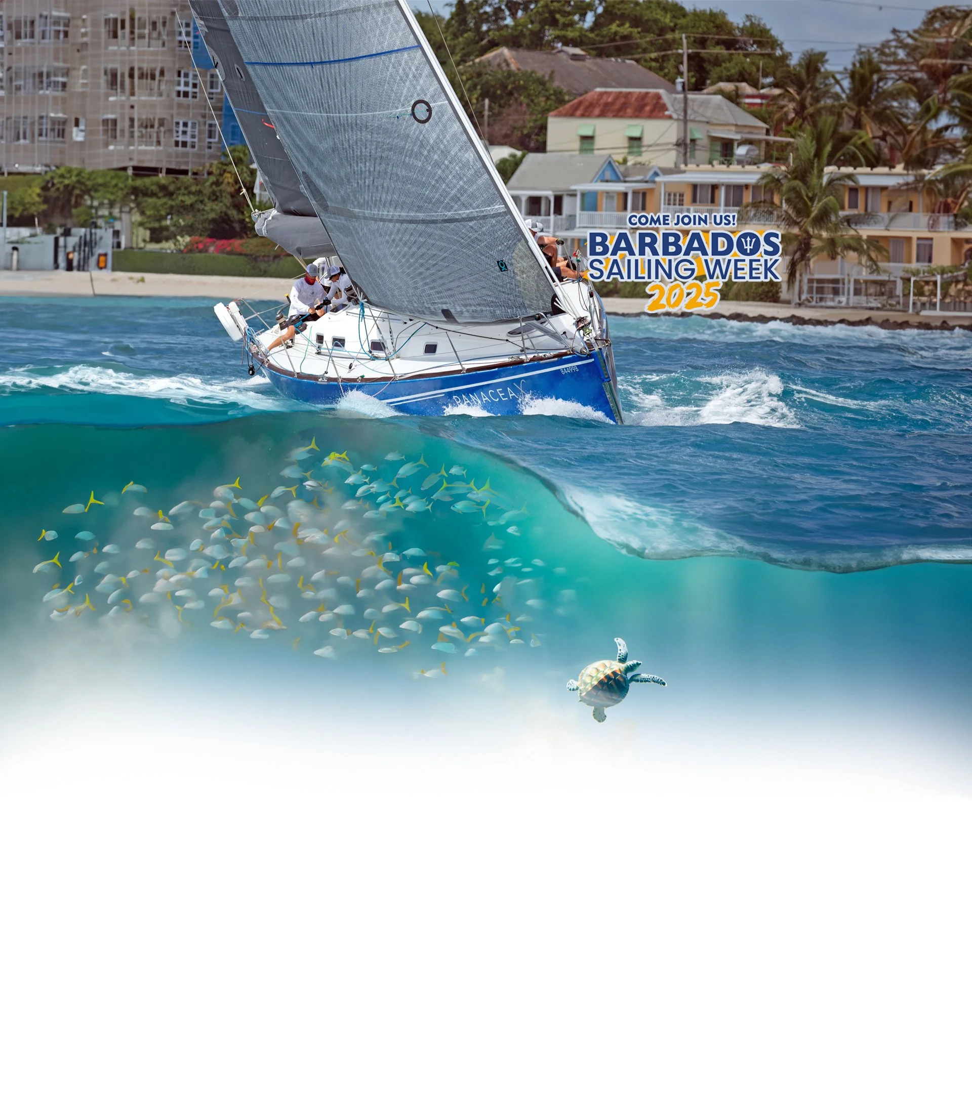 Official Schedule — Barbados Sailing Week