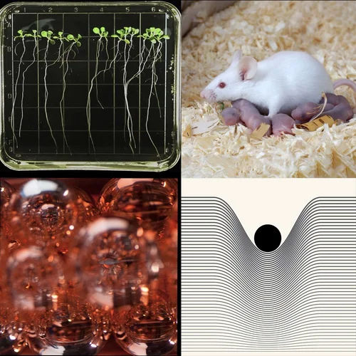 gravityLab — Accelerating Life Off-Planet