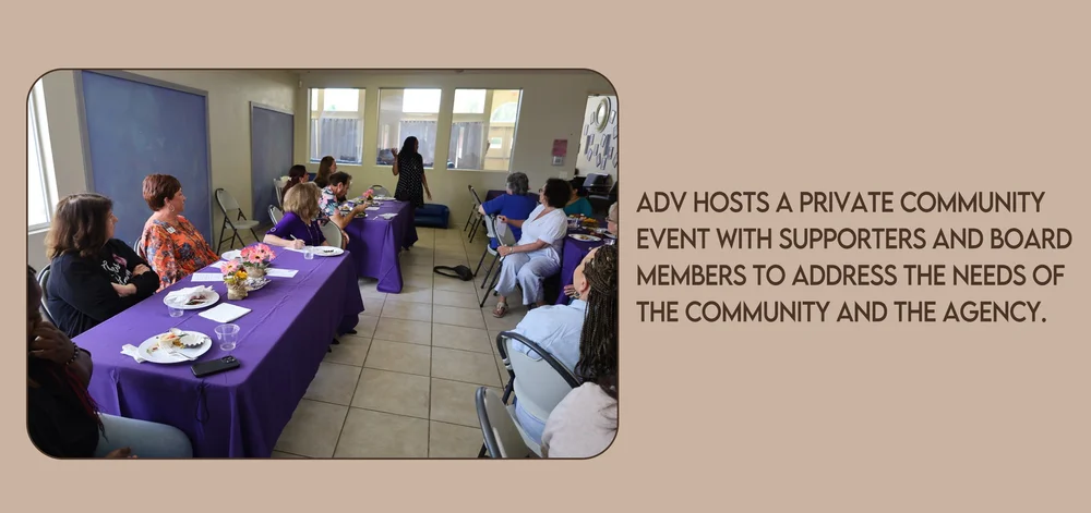 Alternatives to Domestic Violence