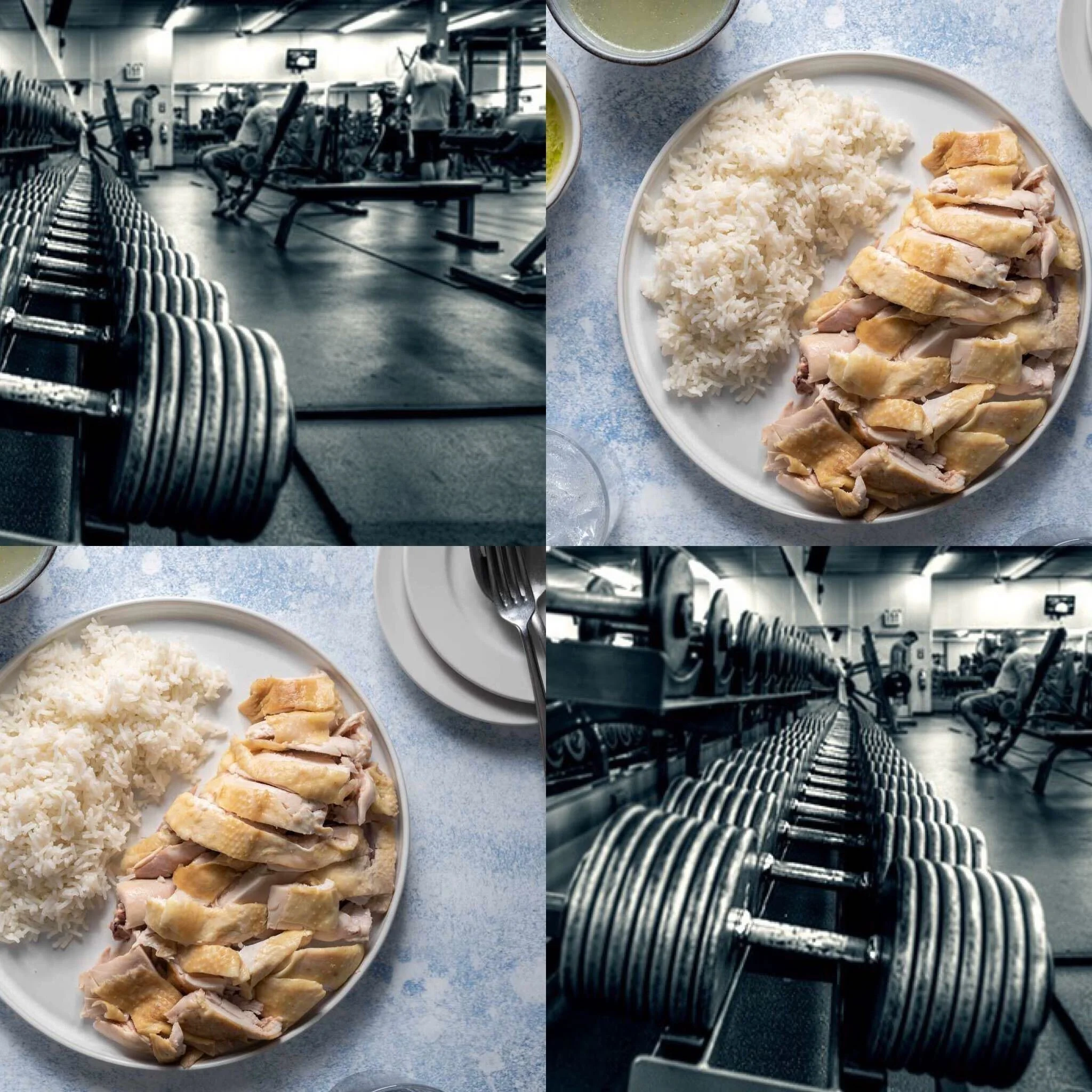 Training & Diet Programs — Steve Aesthetics