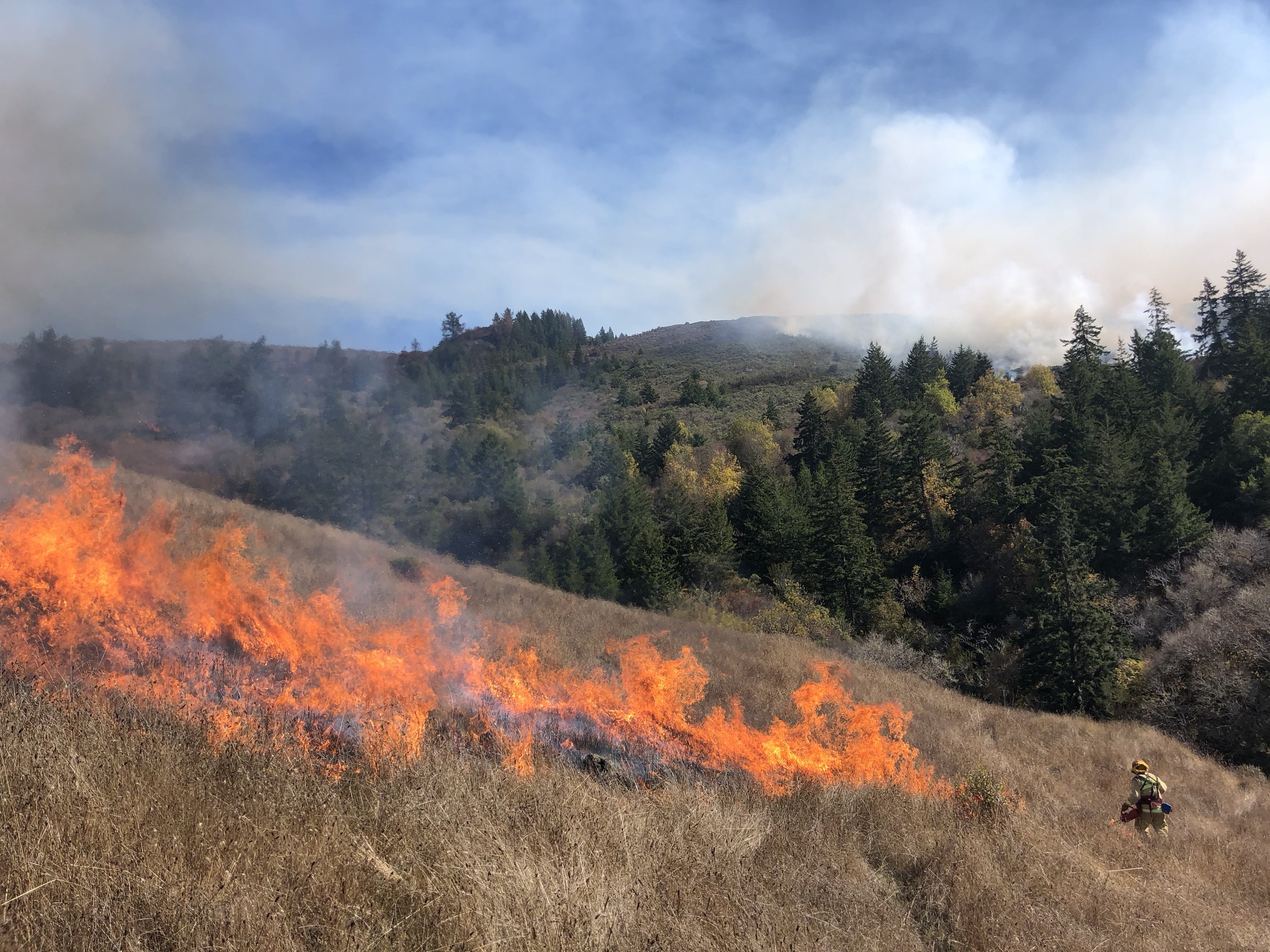 Northern California Prescribed Fire Council