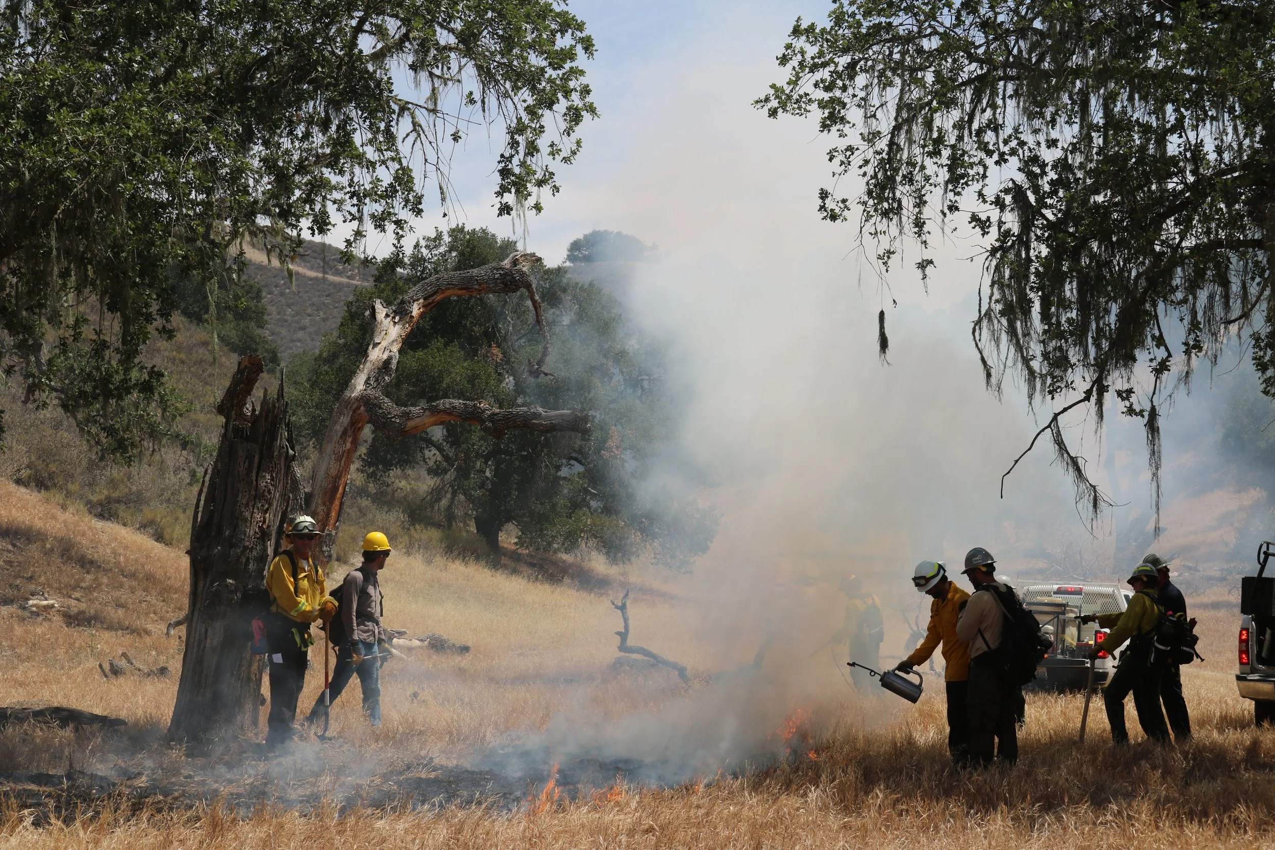Northern California Prescribed Fire Council