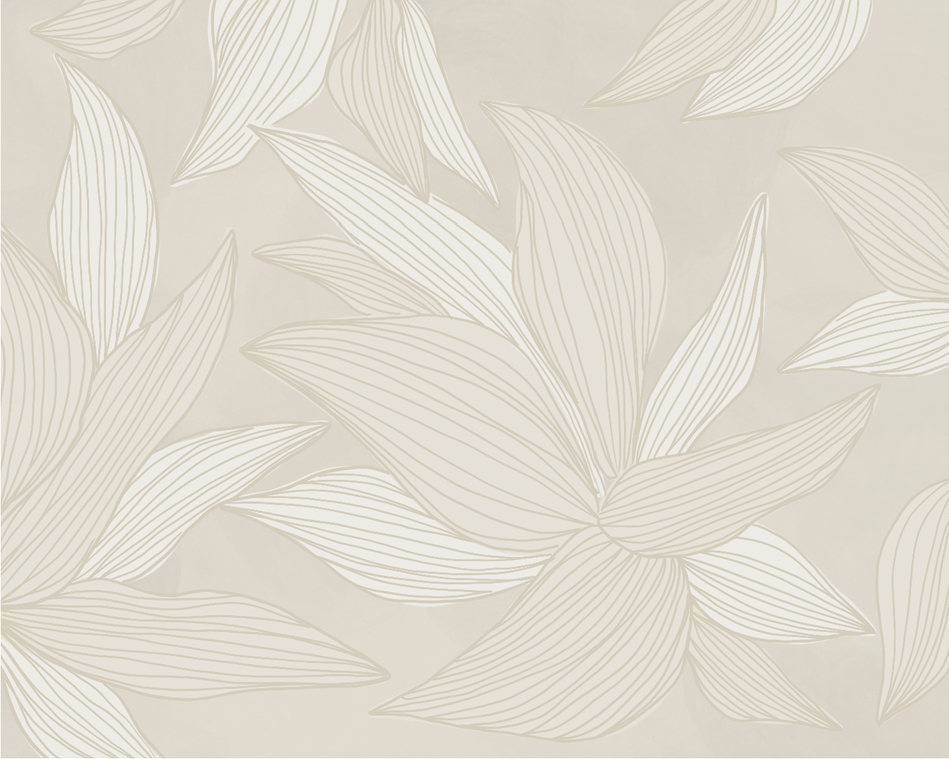 Brooke Dailey Design