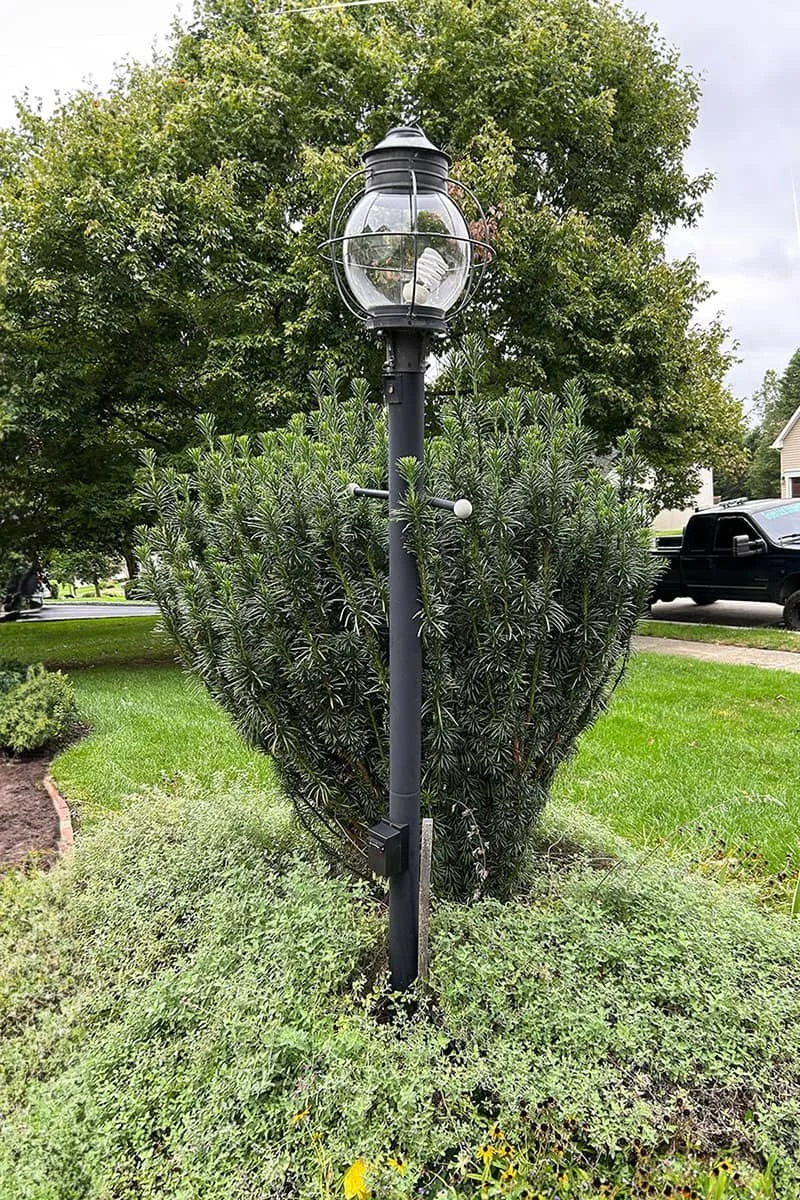 Outdoor Lighting | Philadelphia, PA — Green Leaf Outdoor Services