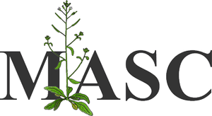 Arabidopsis Resources — Arabidopsis Community as supported by NAASC