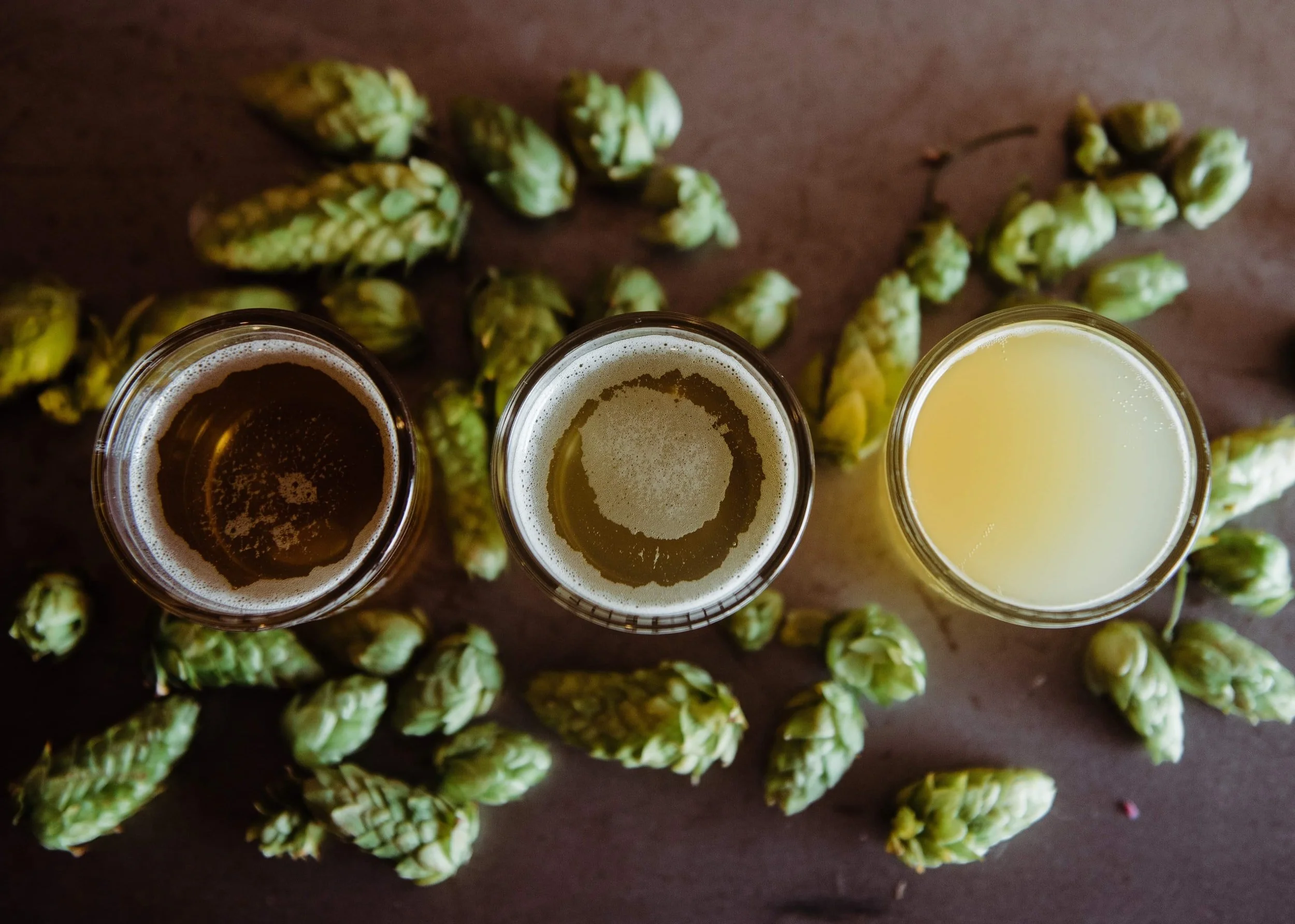 Dive Into Cask Ales: A Beginners Guide — Life Across the Pond