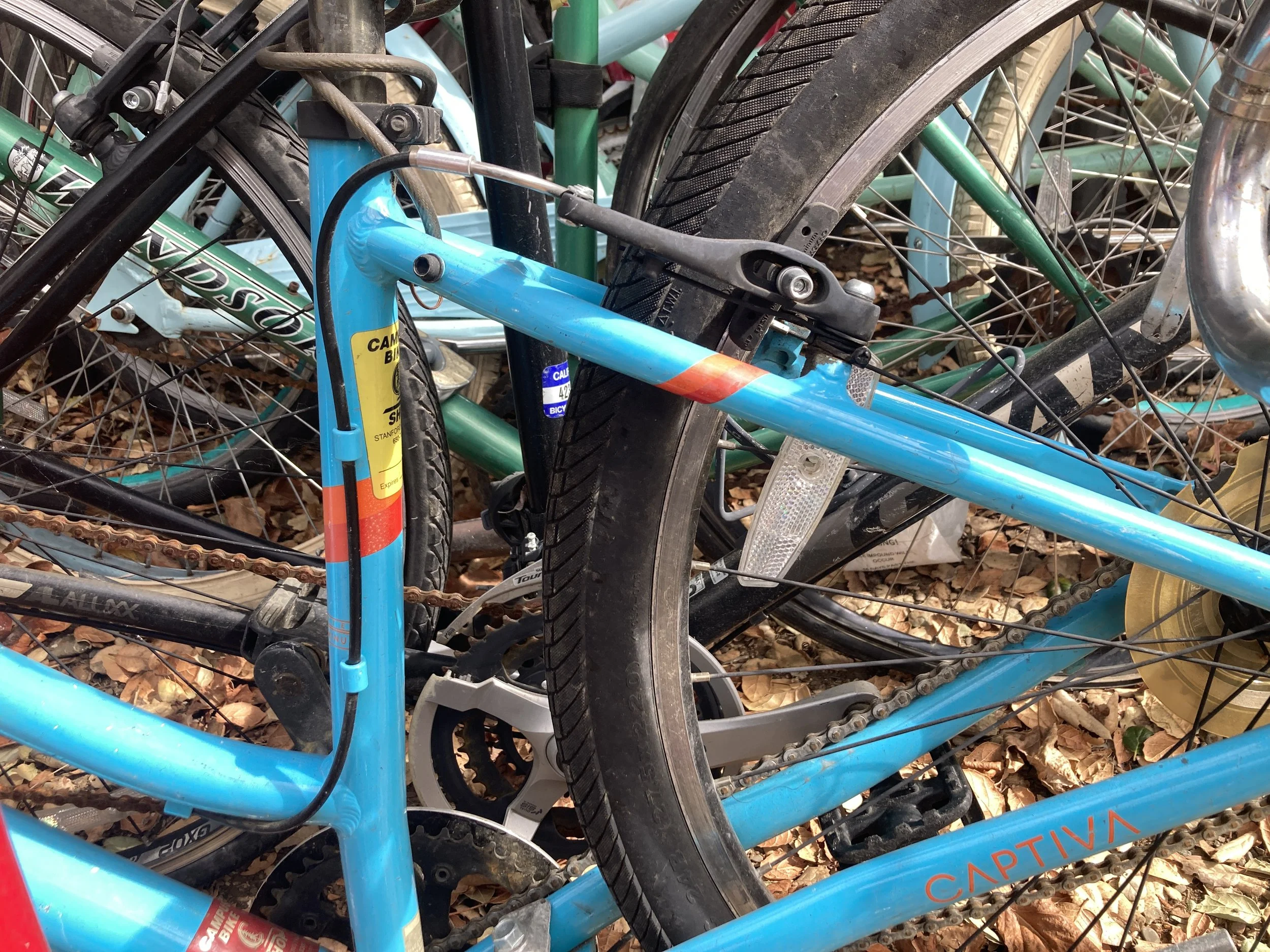 Bay Area Bicycle Rescue