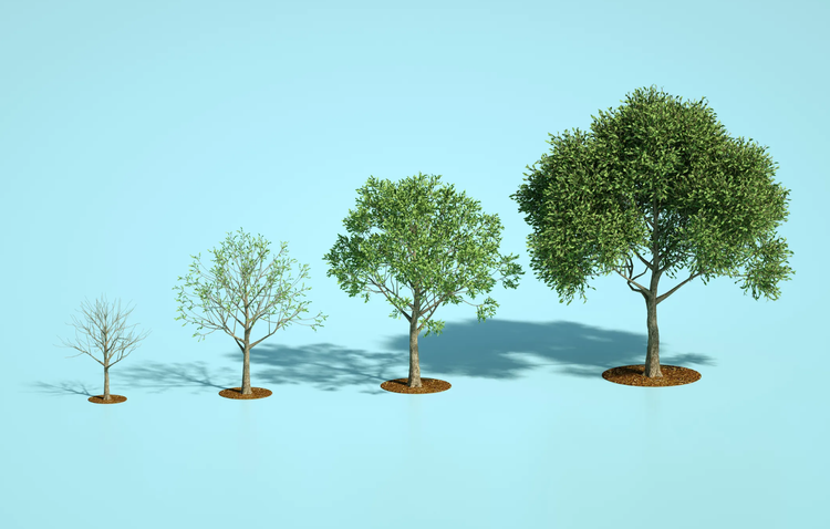 Global Carbon Market Utility