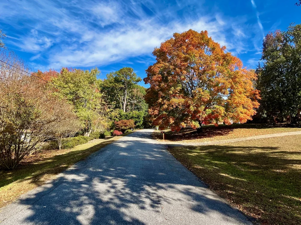 CHINQUAPIN COMMUNITY CORPORATION