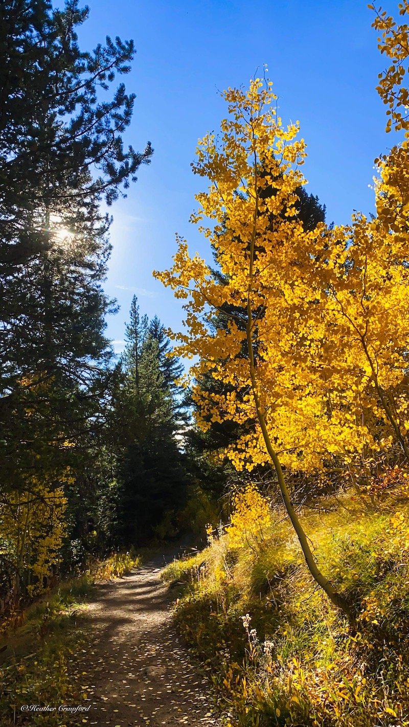 Leaf Peeping in Vermont! — Women Who Explore