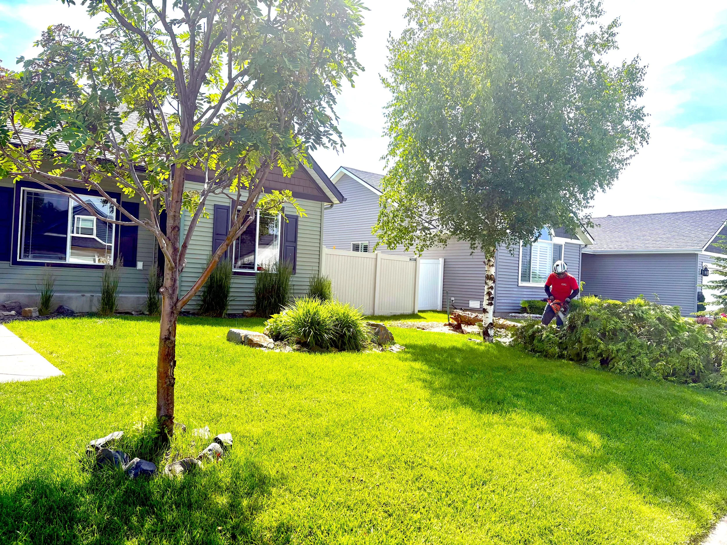 Austin's Tree Services | Expert Tree Pruning, Removal, & Care in Coeur ...
