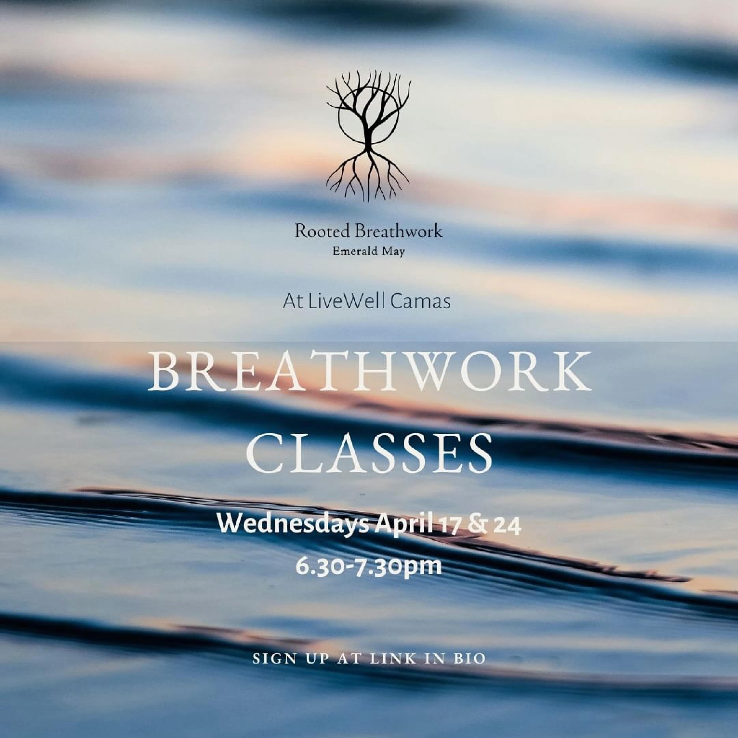 LiveWell Camas | Yoga, Fitness + Community for the whole family