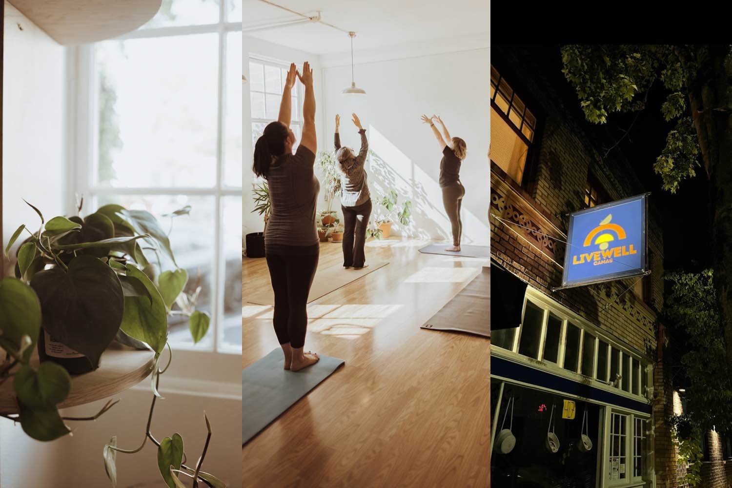 LiveWell Camas Yoga & Fitness Studio + Camas Plant & Gift Shop