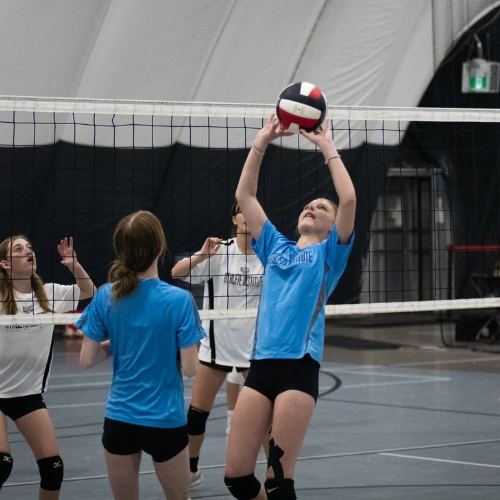 Volleyball Positions Explained: Roles, Rotations, and More — Athlete ...