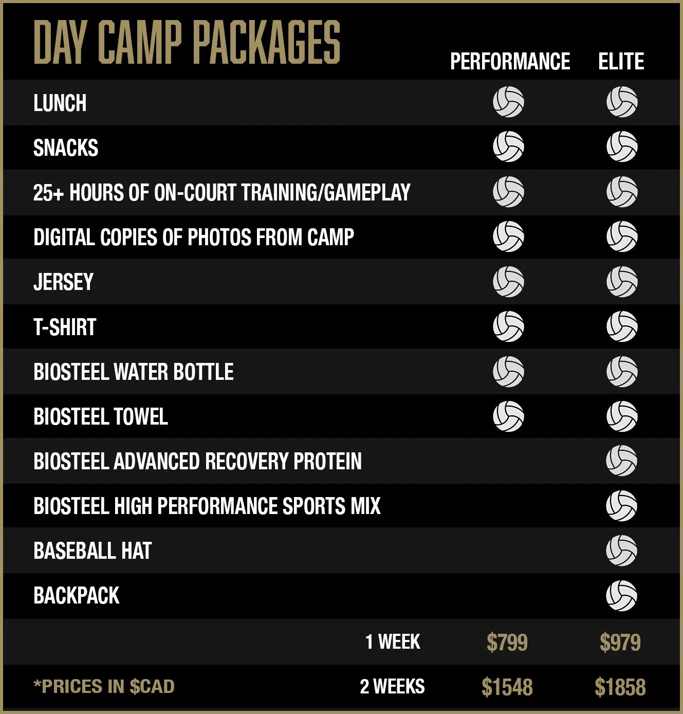 Athlete Institute Volleyball Summer Camp — Orangeville — Athlete Institute