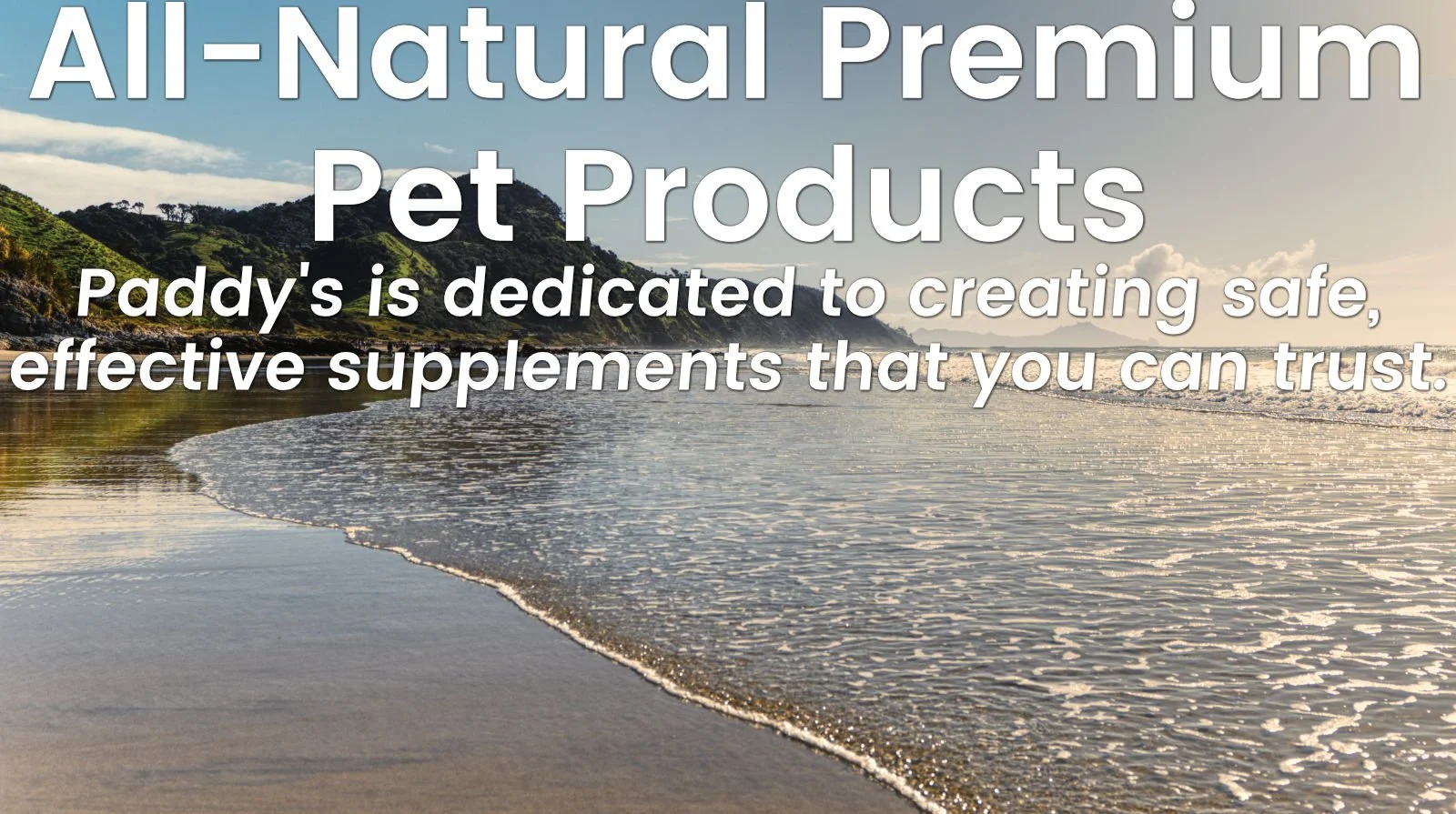 Home — Paddy's Pet Supplements