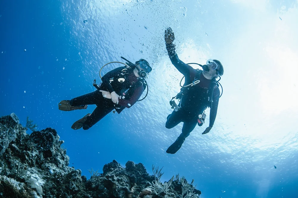 Beginner Courses — Aquatech Divers