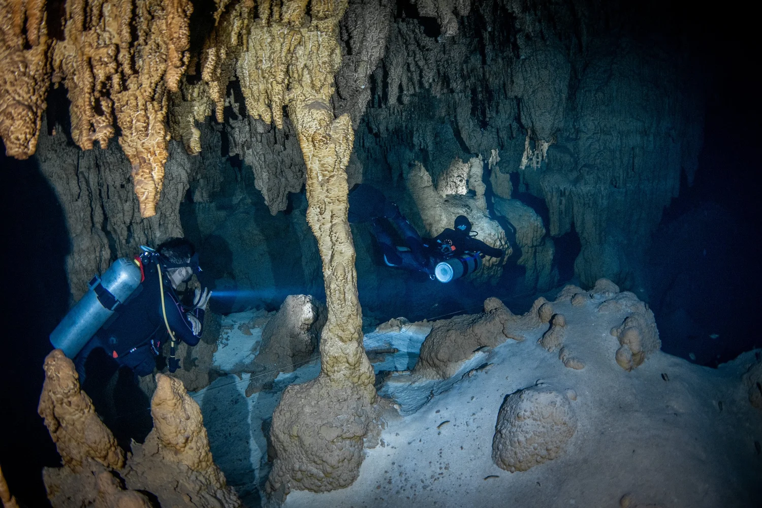 Advanced Cenote Dives - Explore the Mystical Cenote Diving in Tulum, Playa del Carmen, Mexico ...