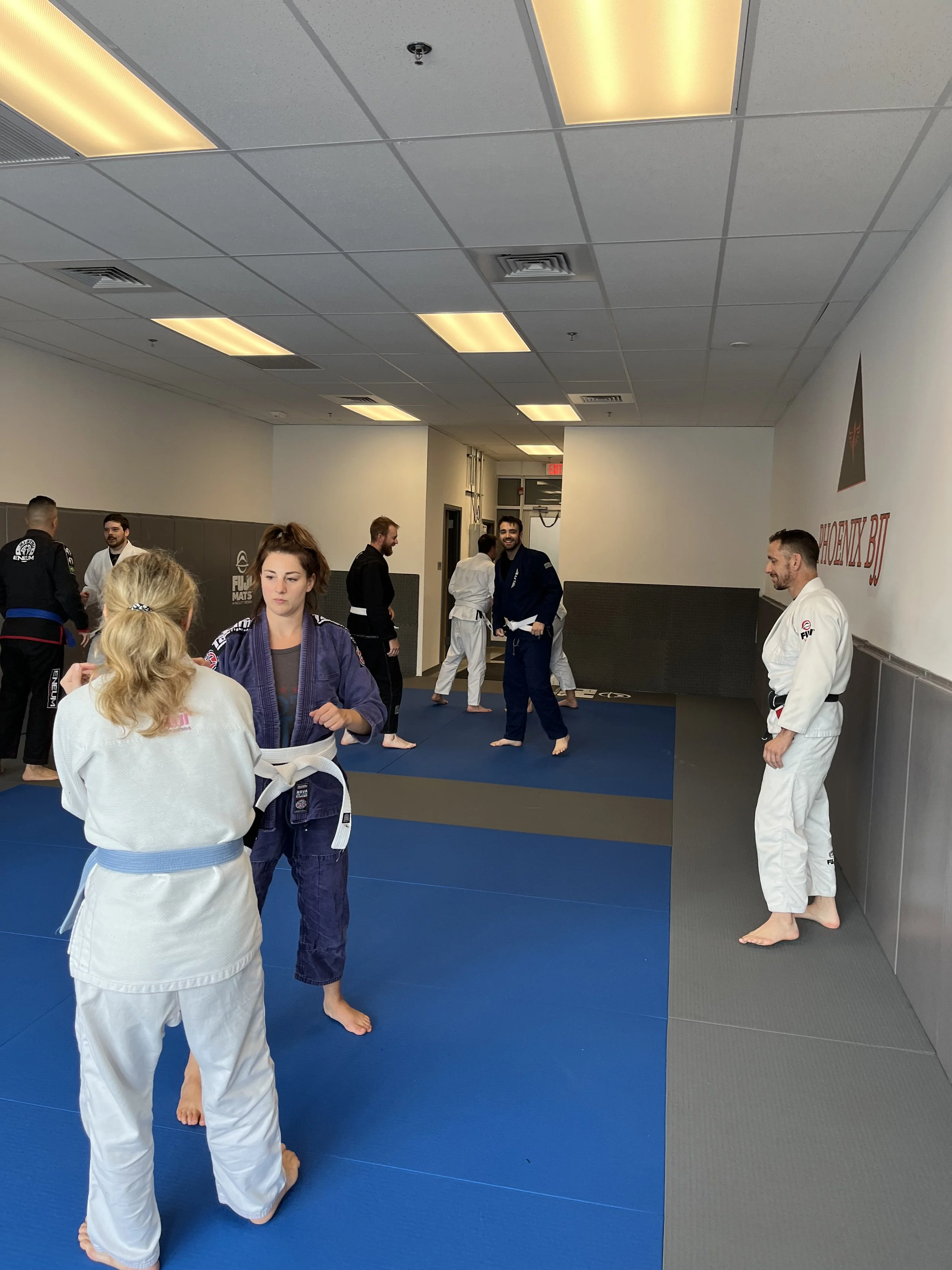 Phoenix BJJ