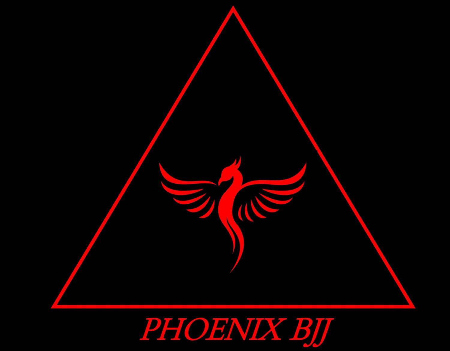 Phoenix BJJ