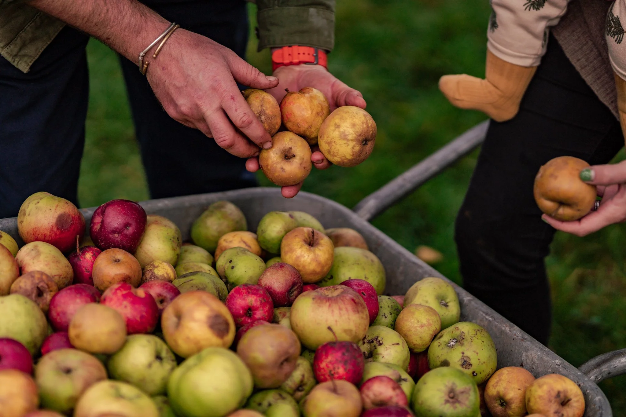 Scotland's Independent Cider Producers — Diggers Fine Cider