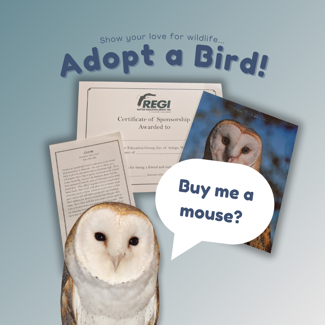 REGI Adopt a Bird — Raptor Education Group, Inc.