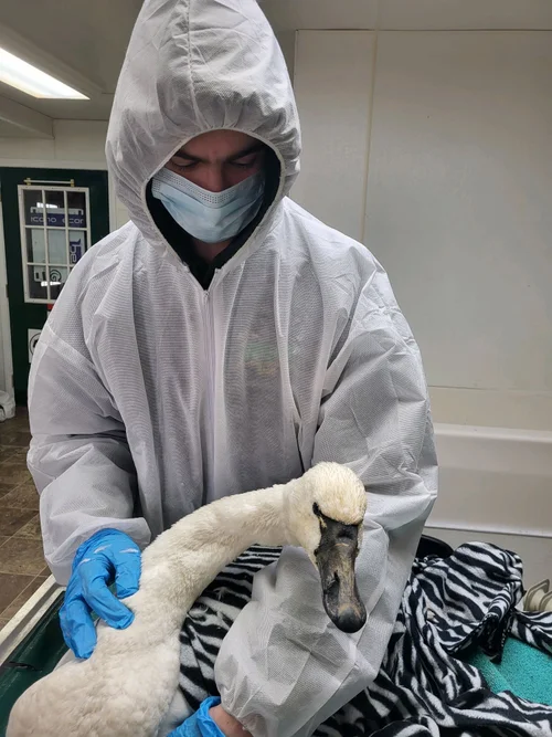 About — Raptor Education Group, Inc.