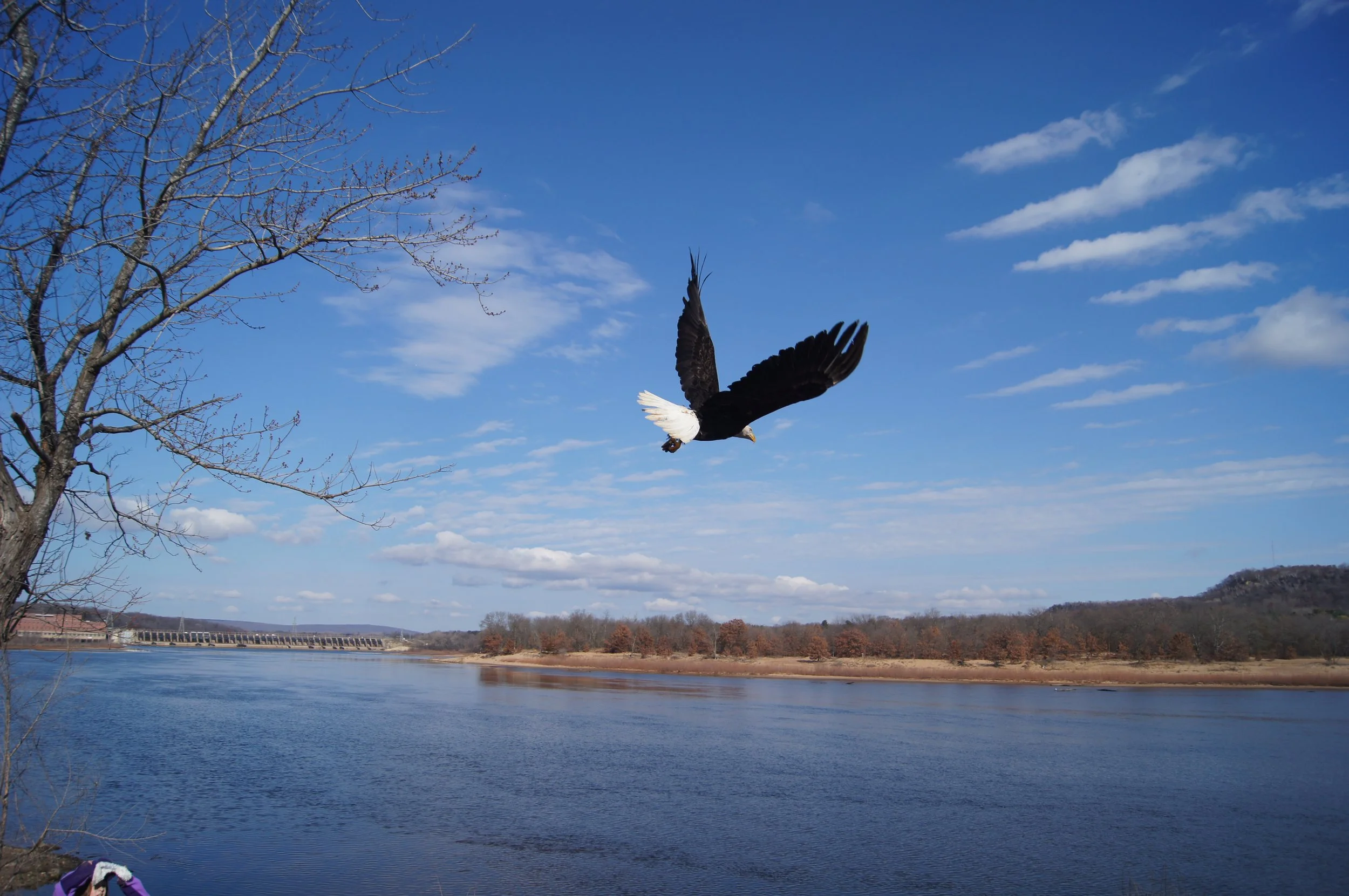 Raptor Education Group, Inc.