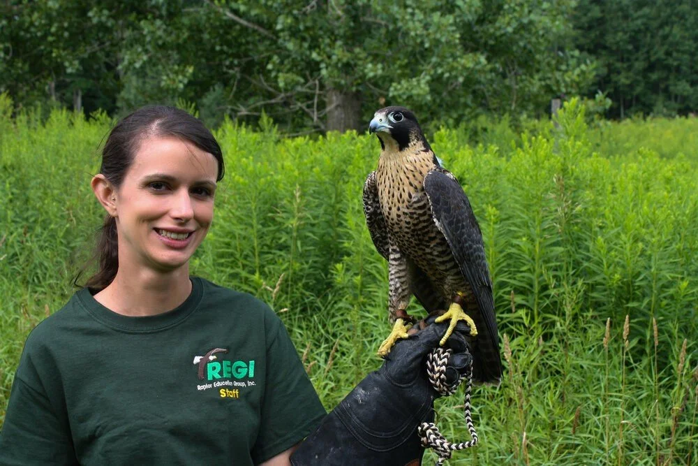 Our Staff — Raptor Education Group, Inc.
