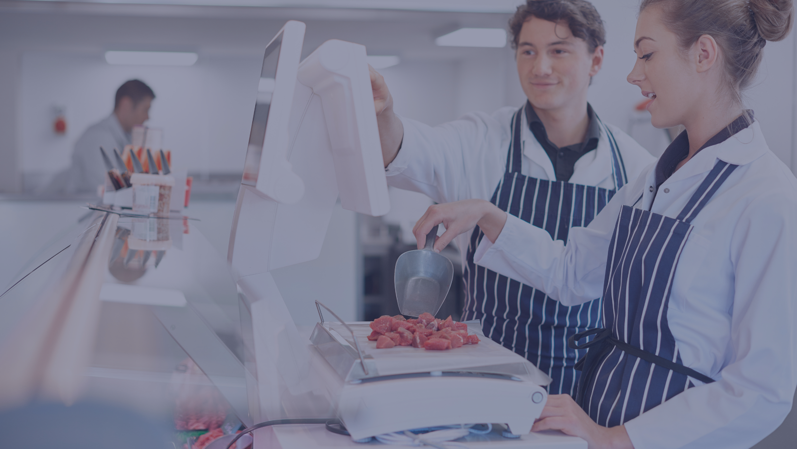 Work Experience and Industry Placements — New City for Business