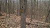 Section Corner Records Database | PLSS Corner Records for County Surveyors