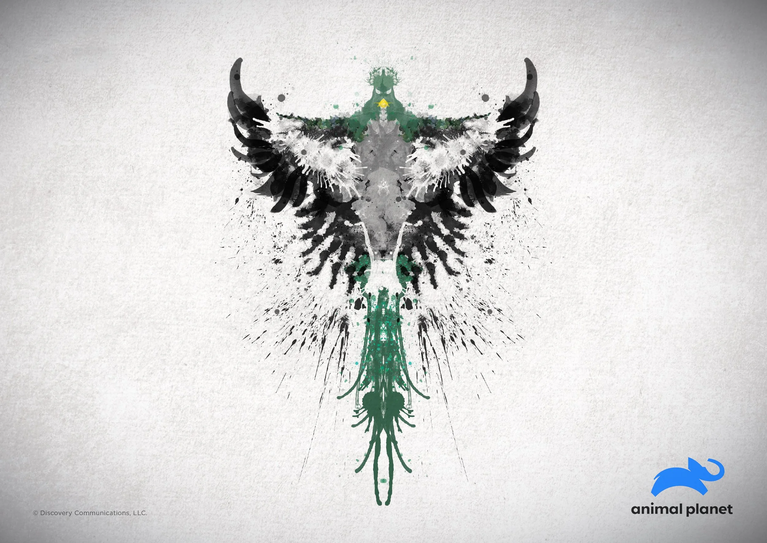 Animal Planet™ Rorschach Style Guide — Creative Director & designer