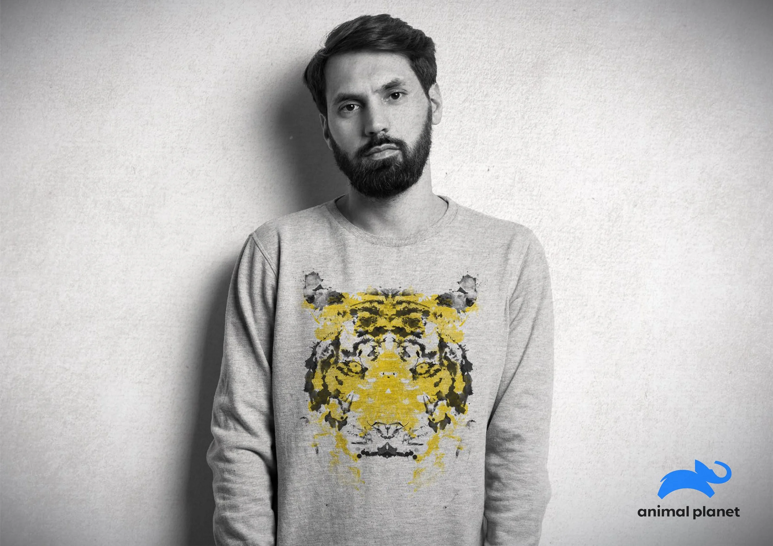 Animal Planet™ Rorschach Style Guide — Creative Director & designer