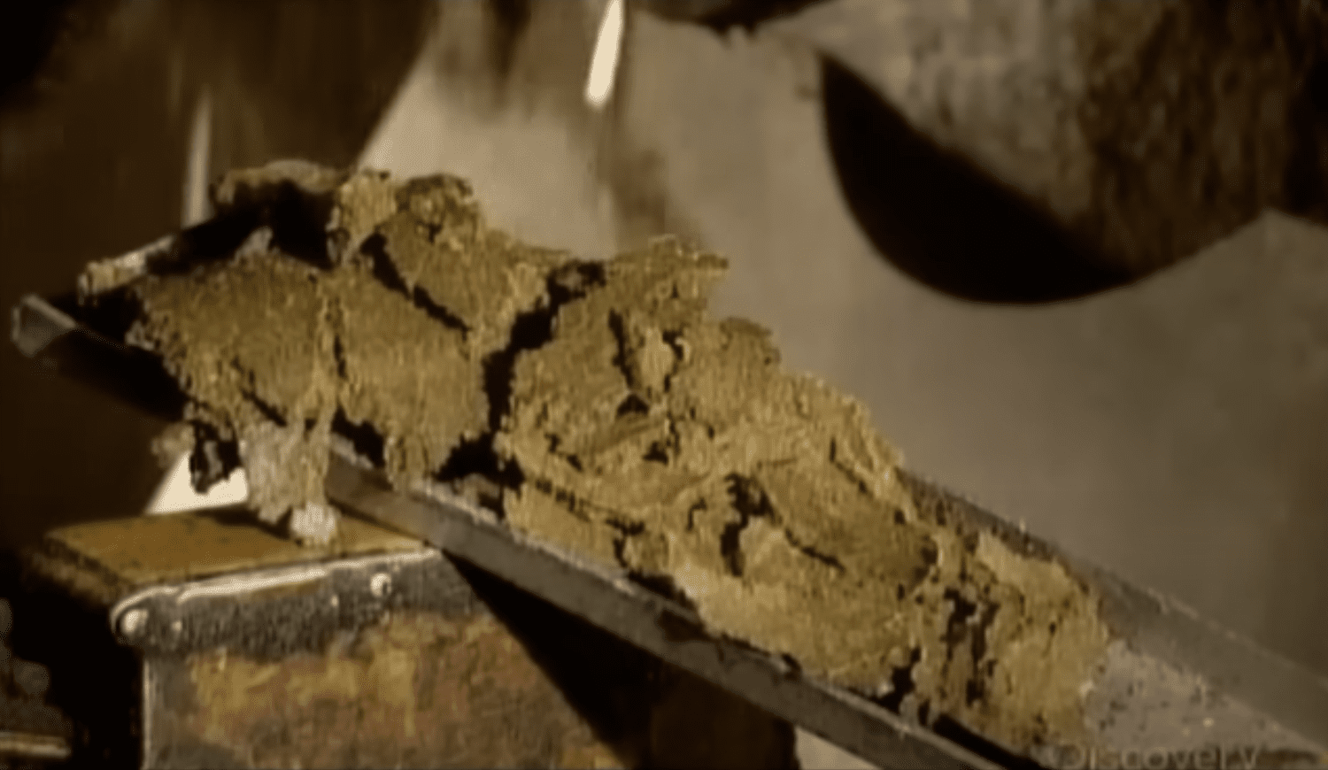 How is vegetable oil made? — Today You Should Know