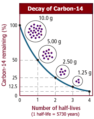 How does carbon dating work? — Today You Should Know