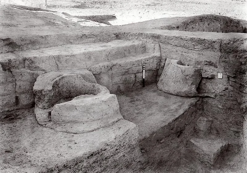 How was bread invented? — Today You Should Know