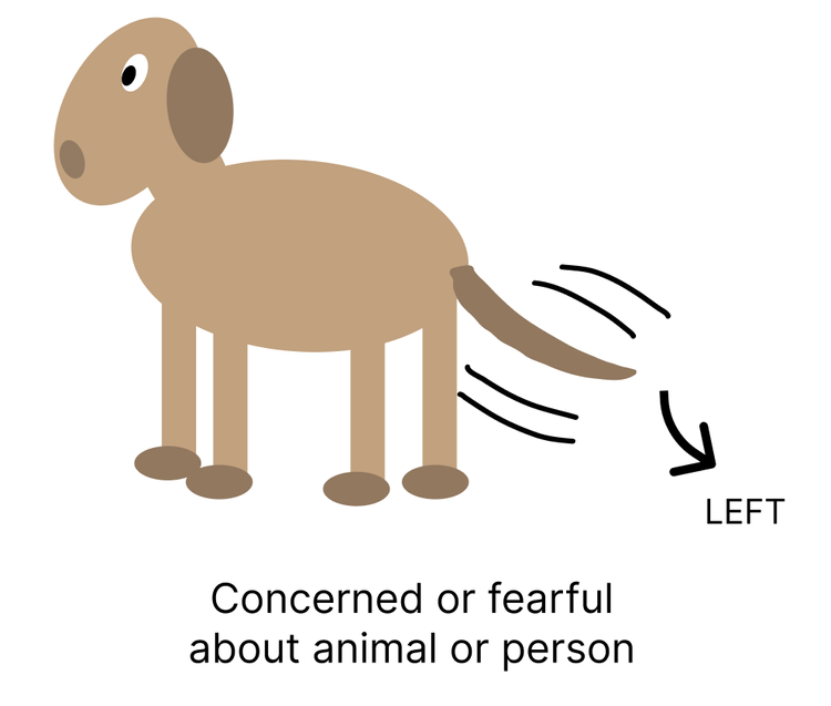 Why do dogs wag their tails? — Today You Should Know