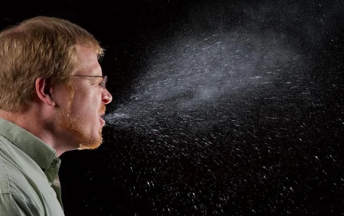 What happens in your body when you sneeze? — Today You Should Know