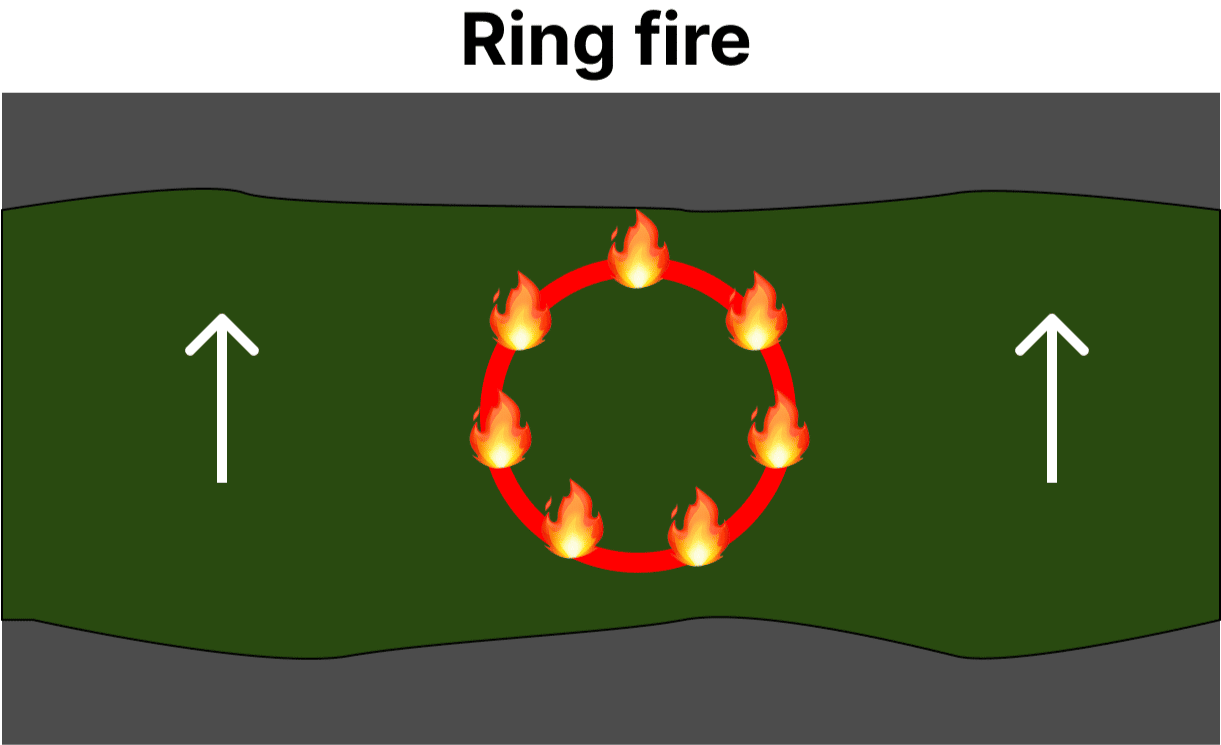 How do controlled burns work? — Today You Should Know