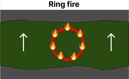 How do controlled burns work? — Today You Should Know