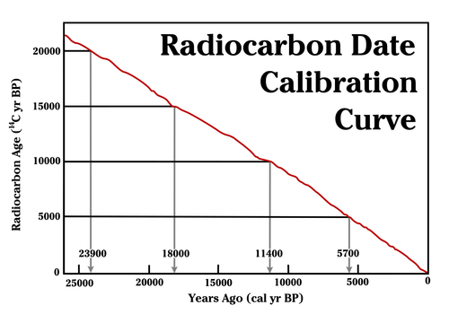 How does carbon dating work? — Today You Should Know