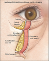 What causes dark circles under your eyes? — Today You Should Know