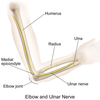Why does your funny bone hurt when you hit it? — Today You Should Know