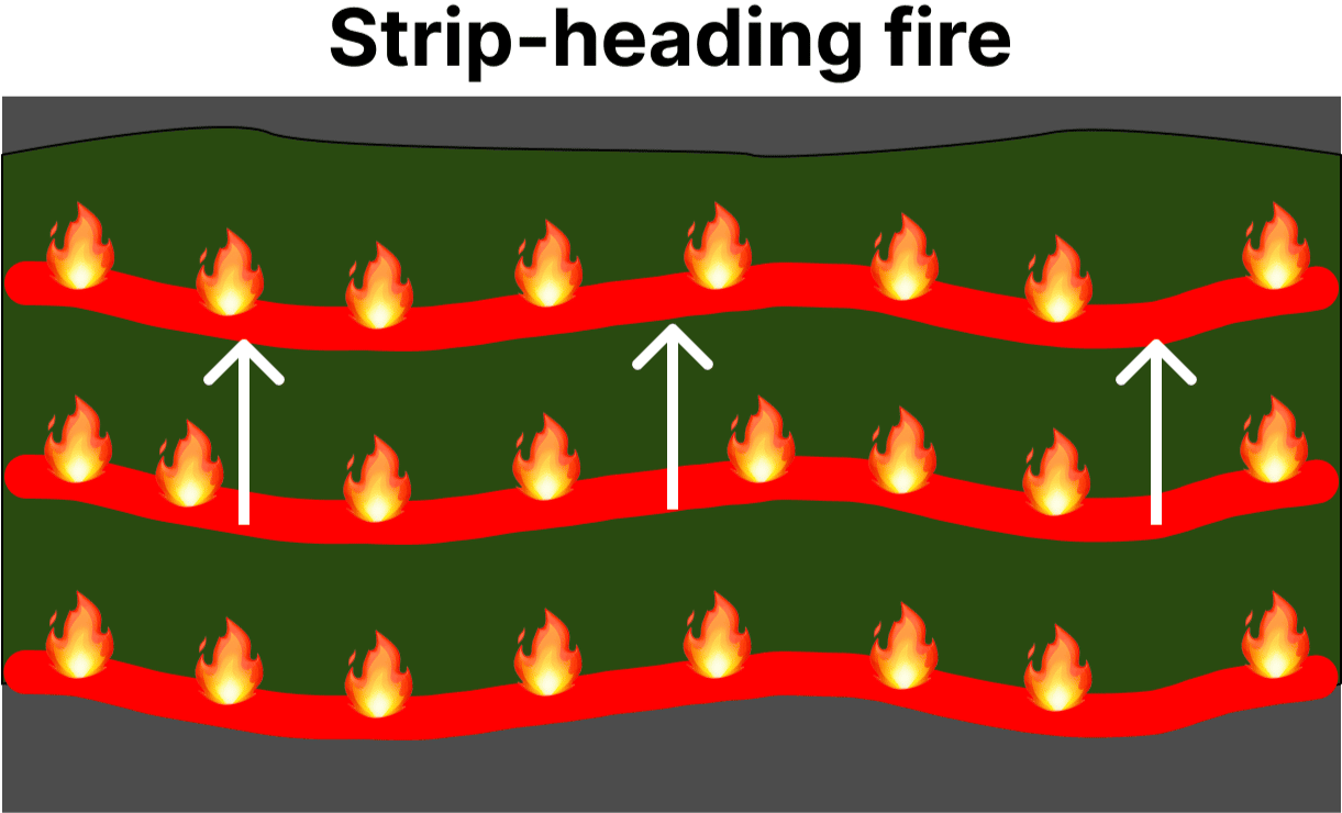 How do controlled burns work? — Today You Should Know