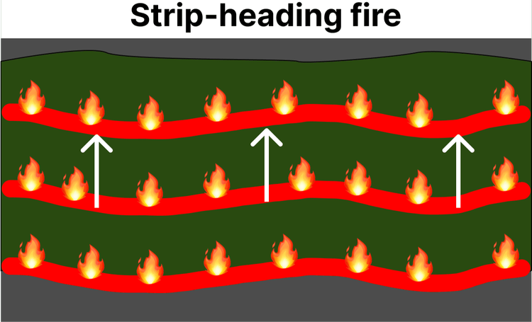 How do controlled burns work? — Today You Should Know